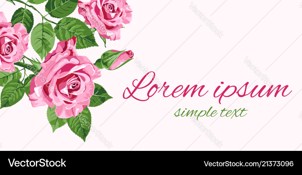 Bright pink roses greeting card with place Vector Image