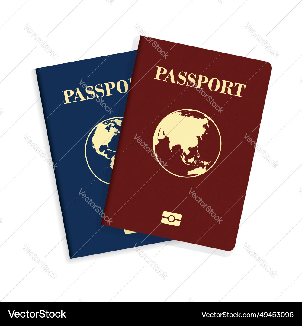 International biometric blue and red passport Vector Image