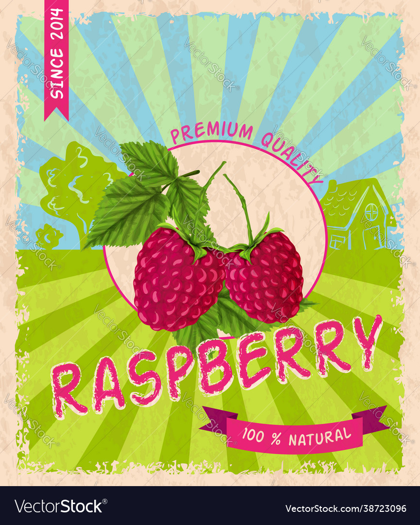 Raspberry retro poster Royalty Free Vector Image