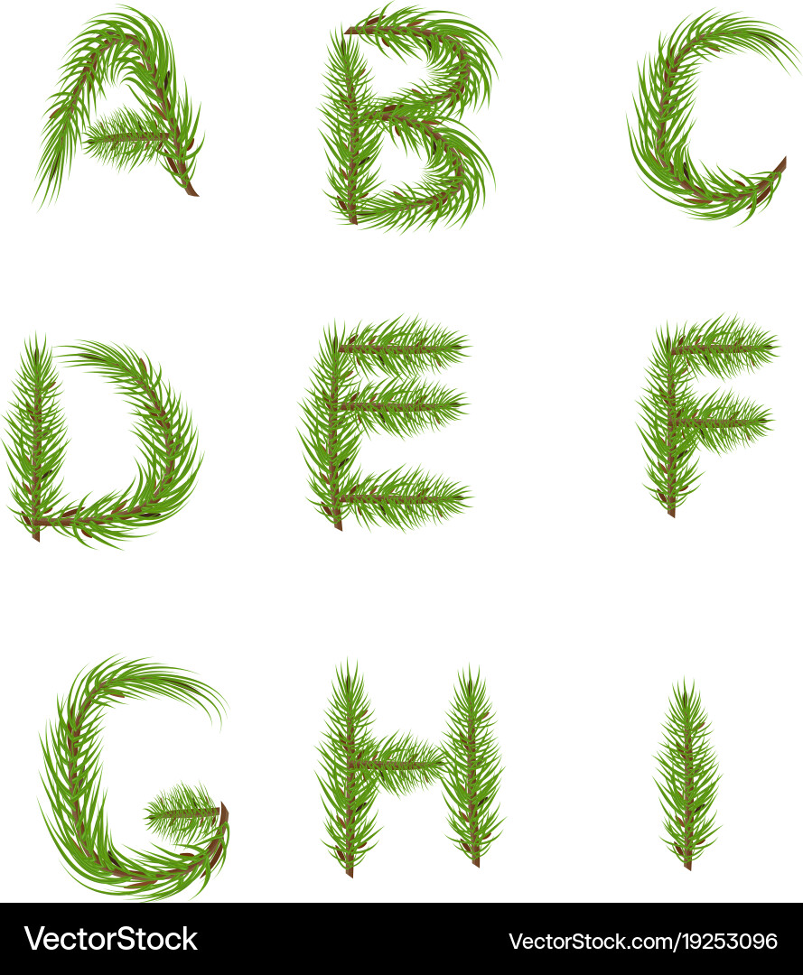 Spruce branches in the form of letters Royalty Free Vector