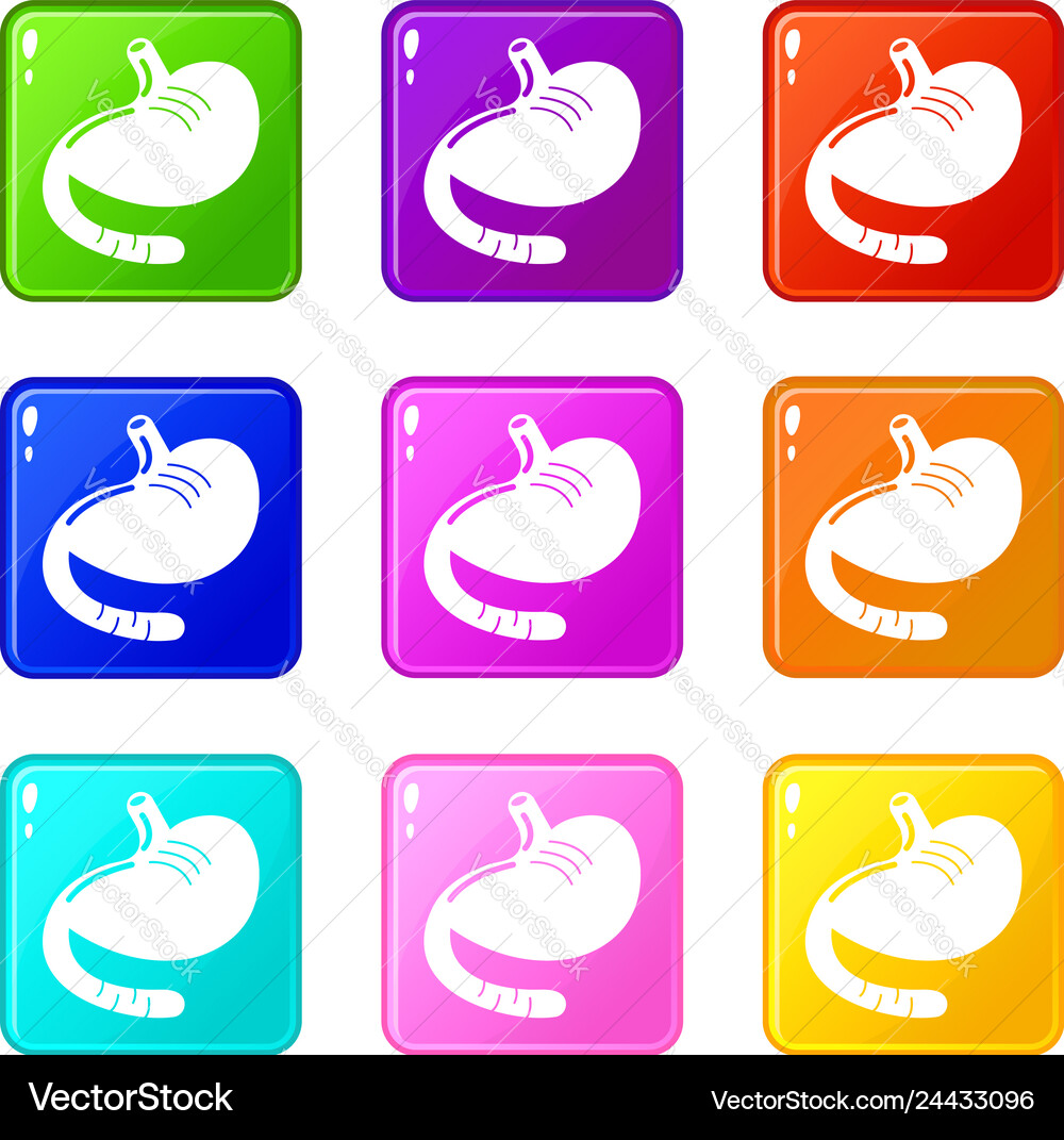 Stomach icons set 9 color collection Royalty Free Vector