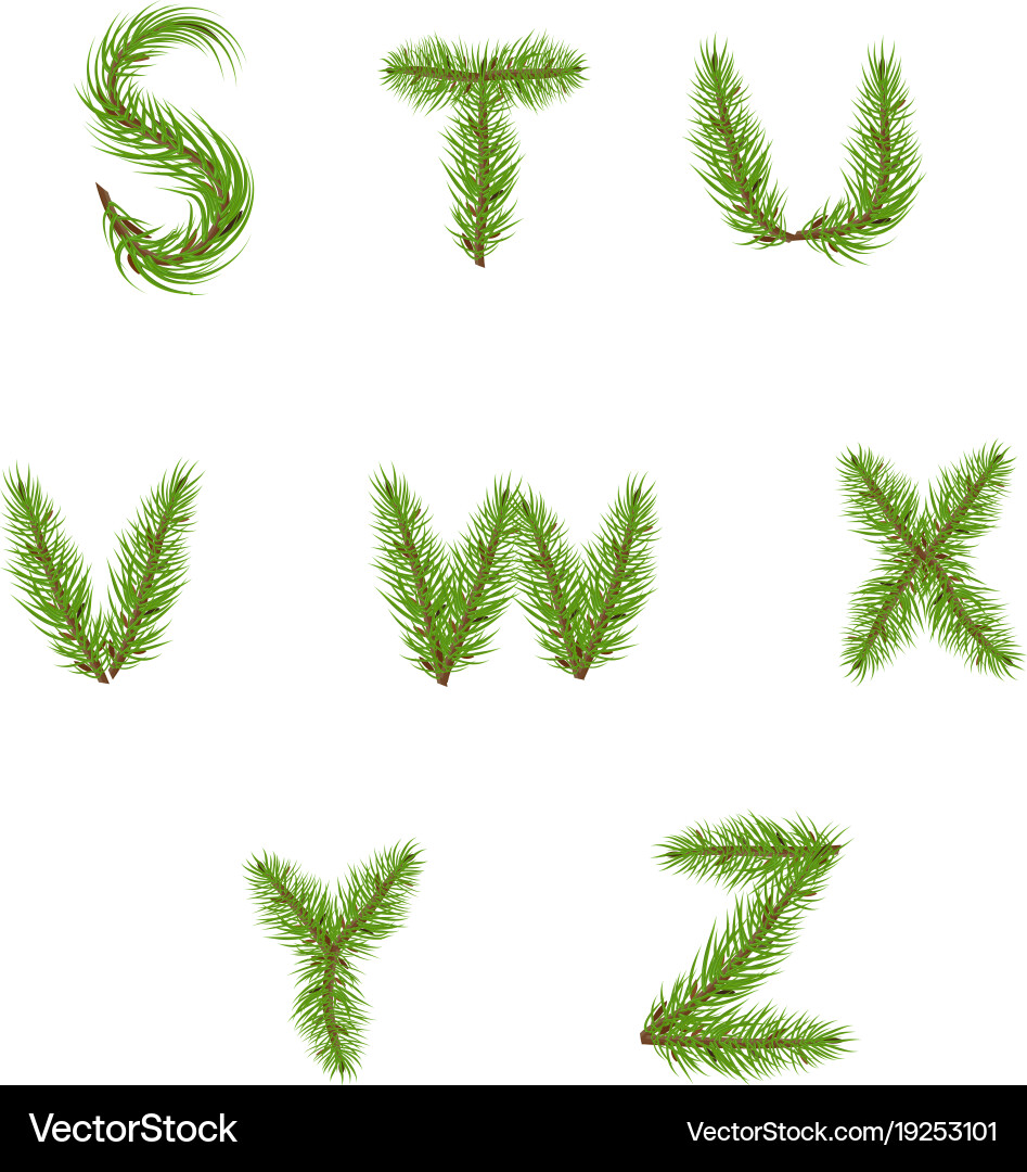Spruce branches in the form of letters Royalty Free Vector