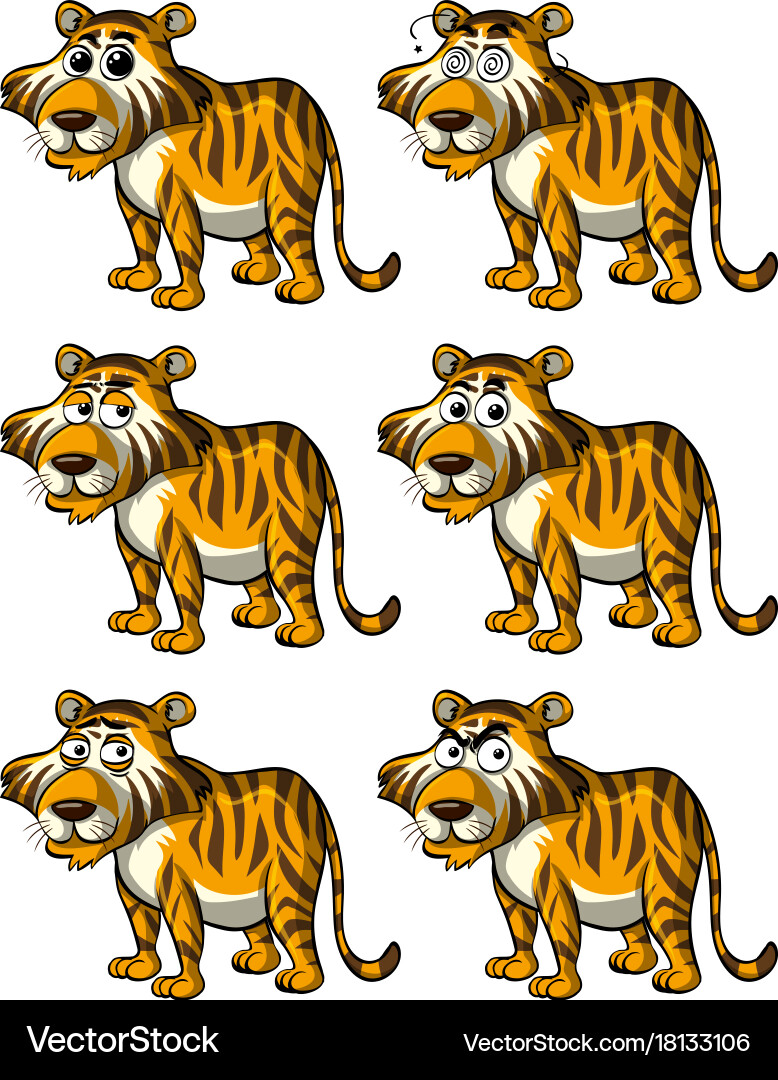 Tiger with different facial expressions Royalty Free Vector