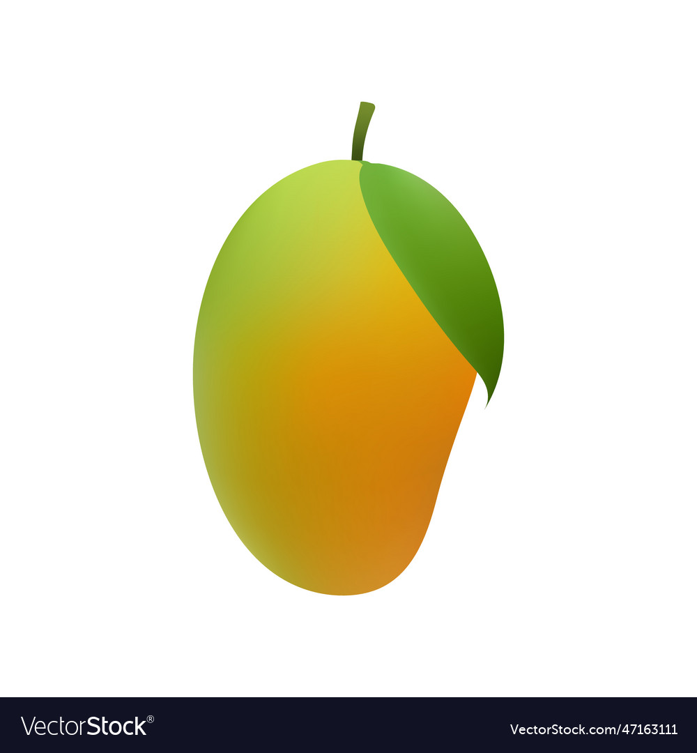 Mango Royalty Free Vector Image - VectorStock