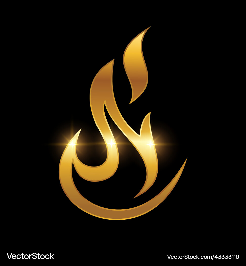 Golden fire flame symbol logo sign Royalty Free Vector Image