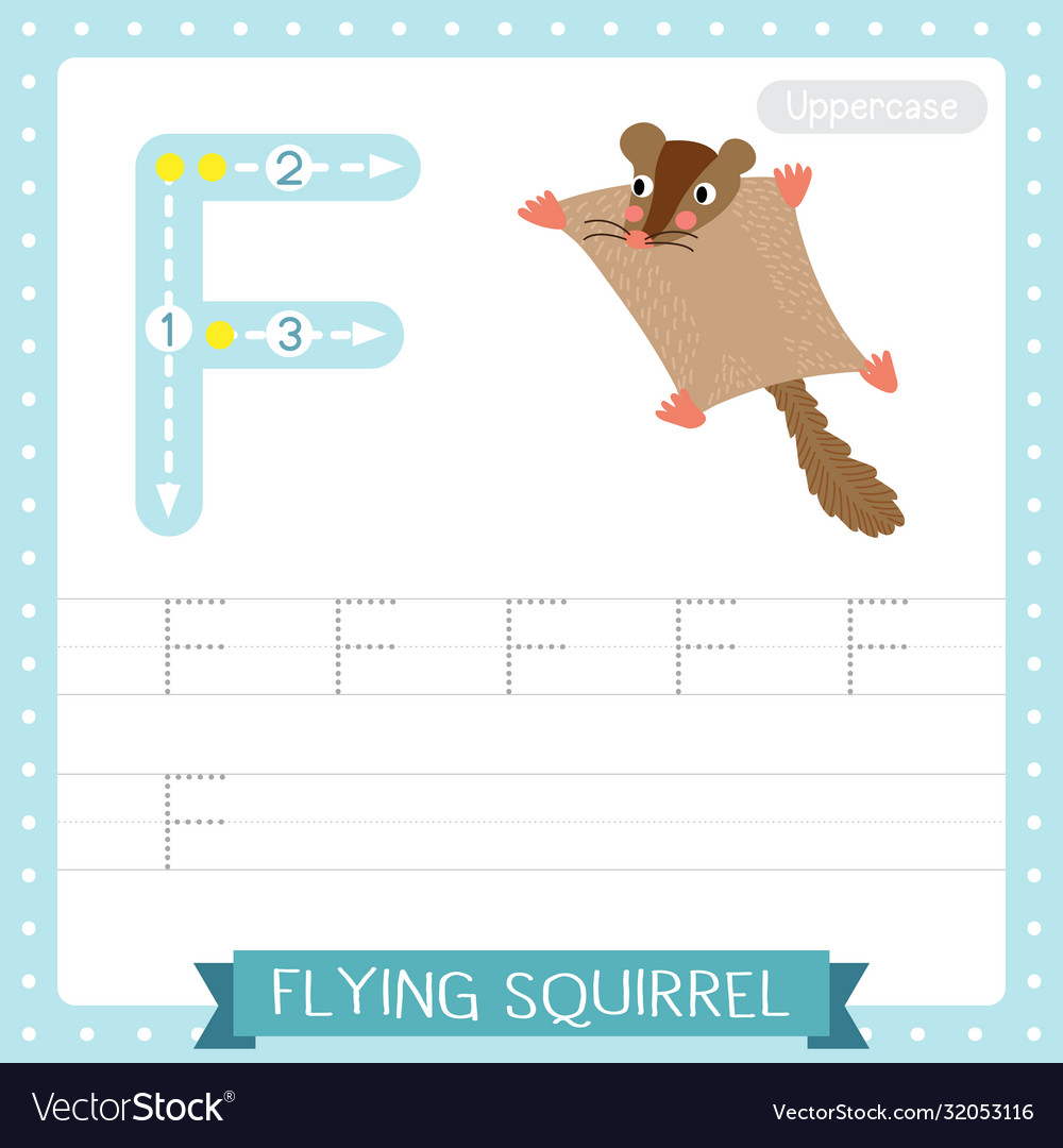 Letter f uppercase tracing practice worksheet Vector Image