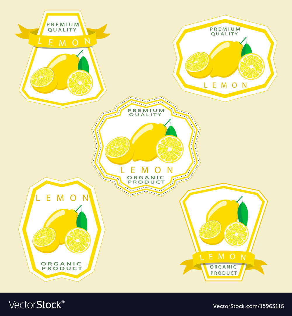 Theme lemon Royalty Free Vector Image - VectorStock