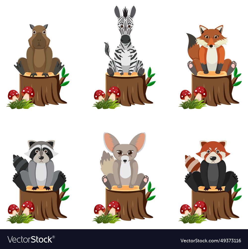 Wild animals sitting on tree stump Royalty Free Vector Image