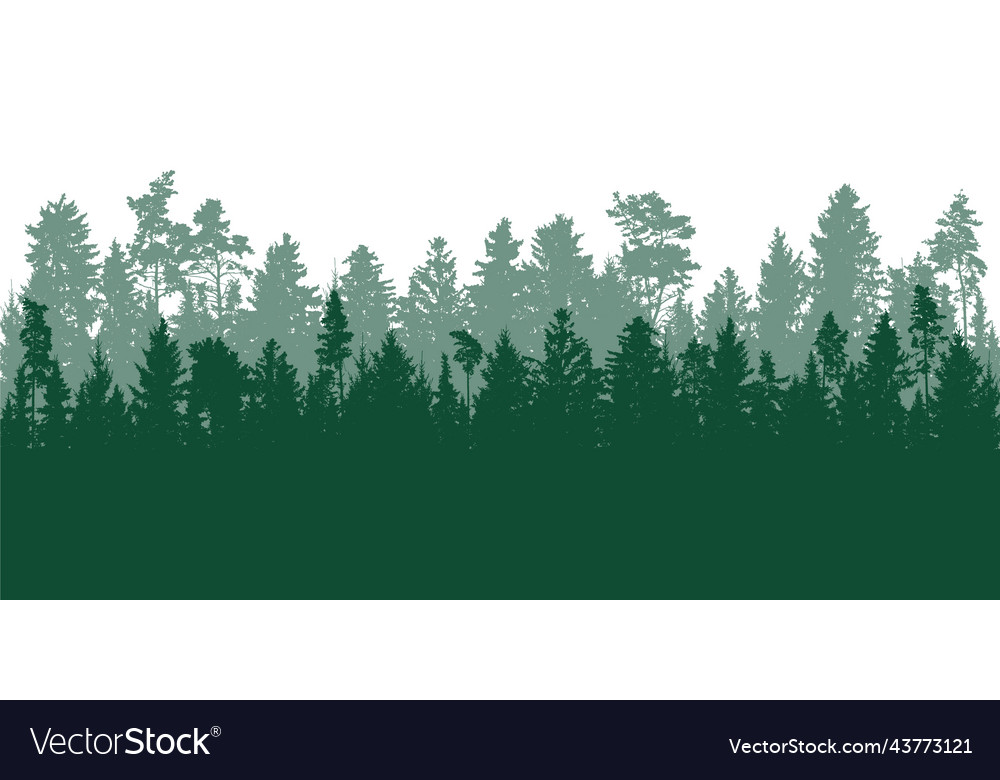 Forest Background Beautiful Landscape Wallpaper Vector Image