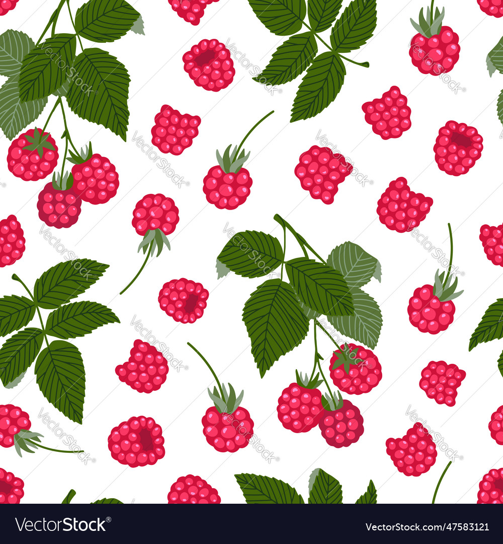 Raspberry seamless pattern sweet red Royalty Free Vector