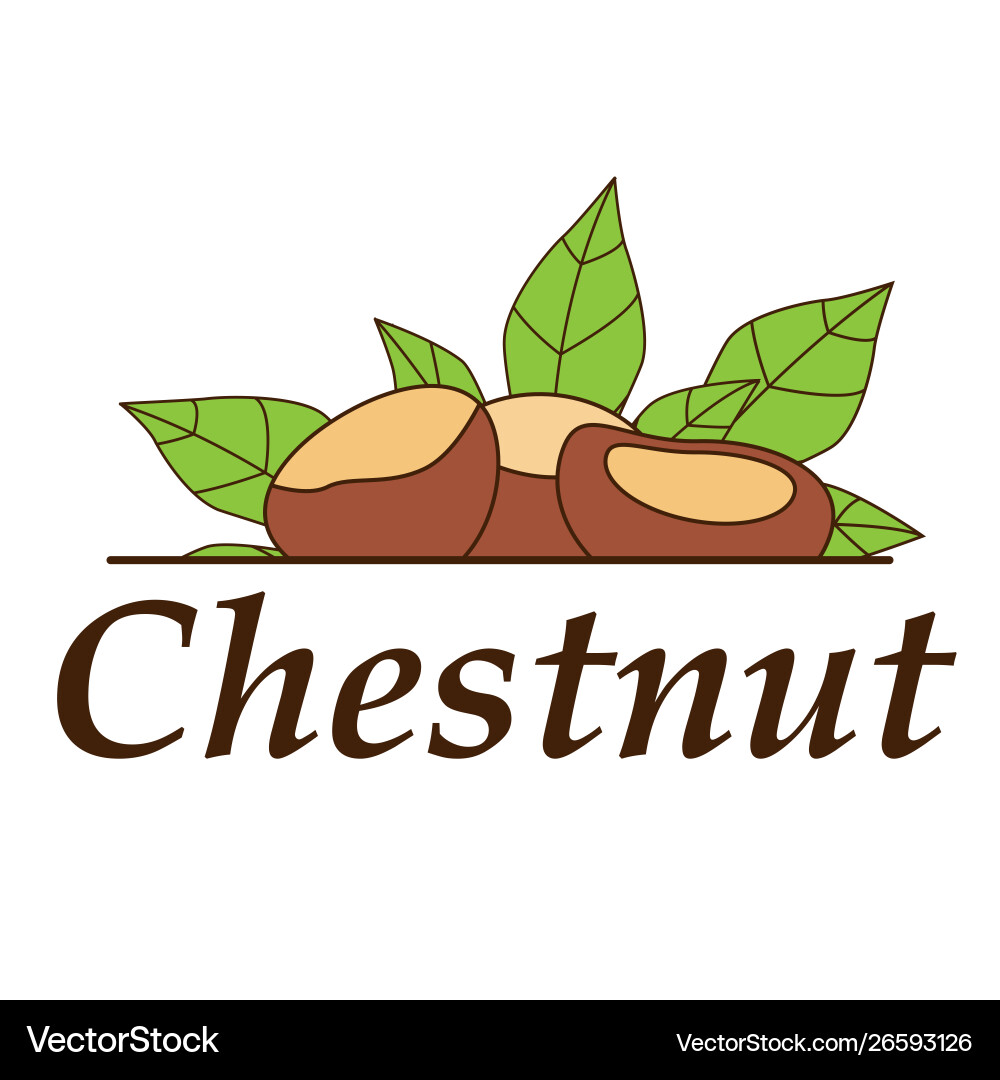 Chestnut logo in cartoon style Royalty Free Vector Image