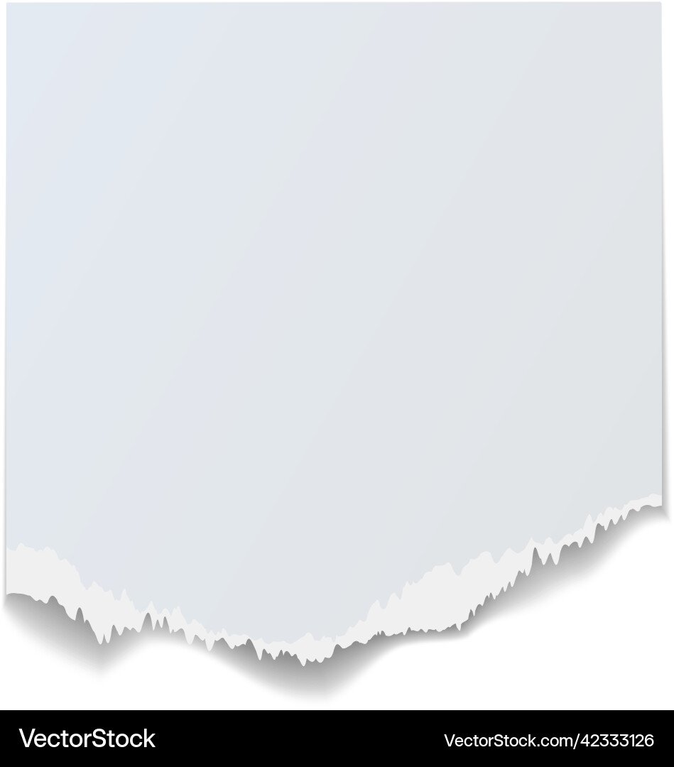 Paper sheet mockup with realistic ripped edge Vector Image