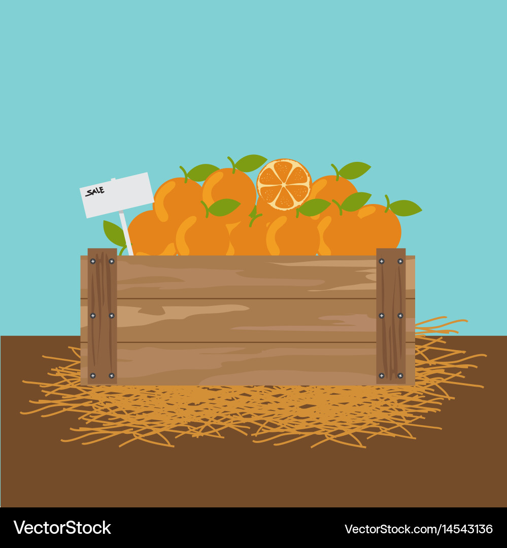 Orange in a wooden crate Royalty Free Vector Image