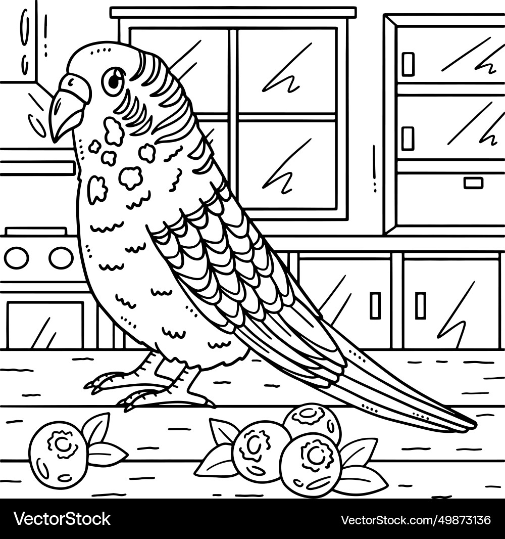 Parakeet bird coloring page for kids Royalty Free Vector