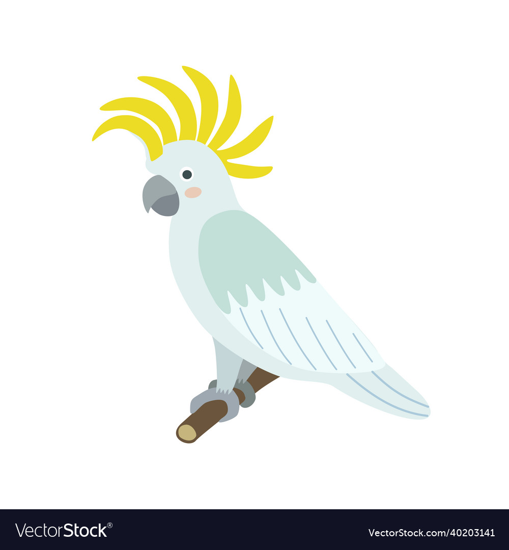 Cute Cartoon Cockatoo Parrot Isolated On White Vector Image