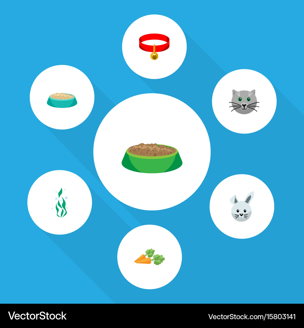 Flat icon animal set bunny kitty feeding and Vector Image
