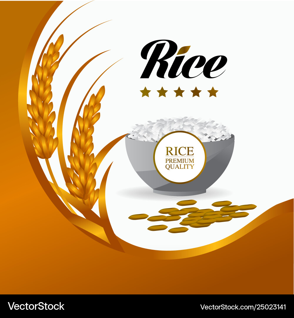 Premium rice great quality design concept Vector Image