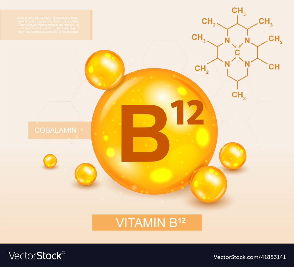 Vitamin b12 concept Royalty Free Vector Image - VectorStock