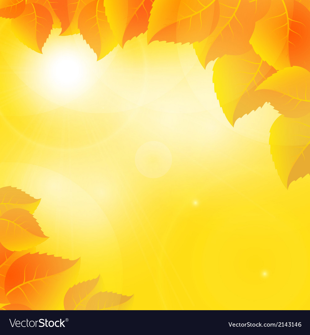 Autumn leaves on a sunny sky background Royalty Free Vector