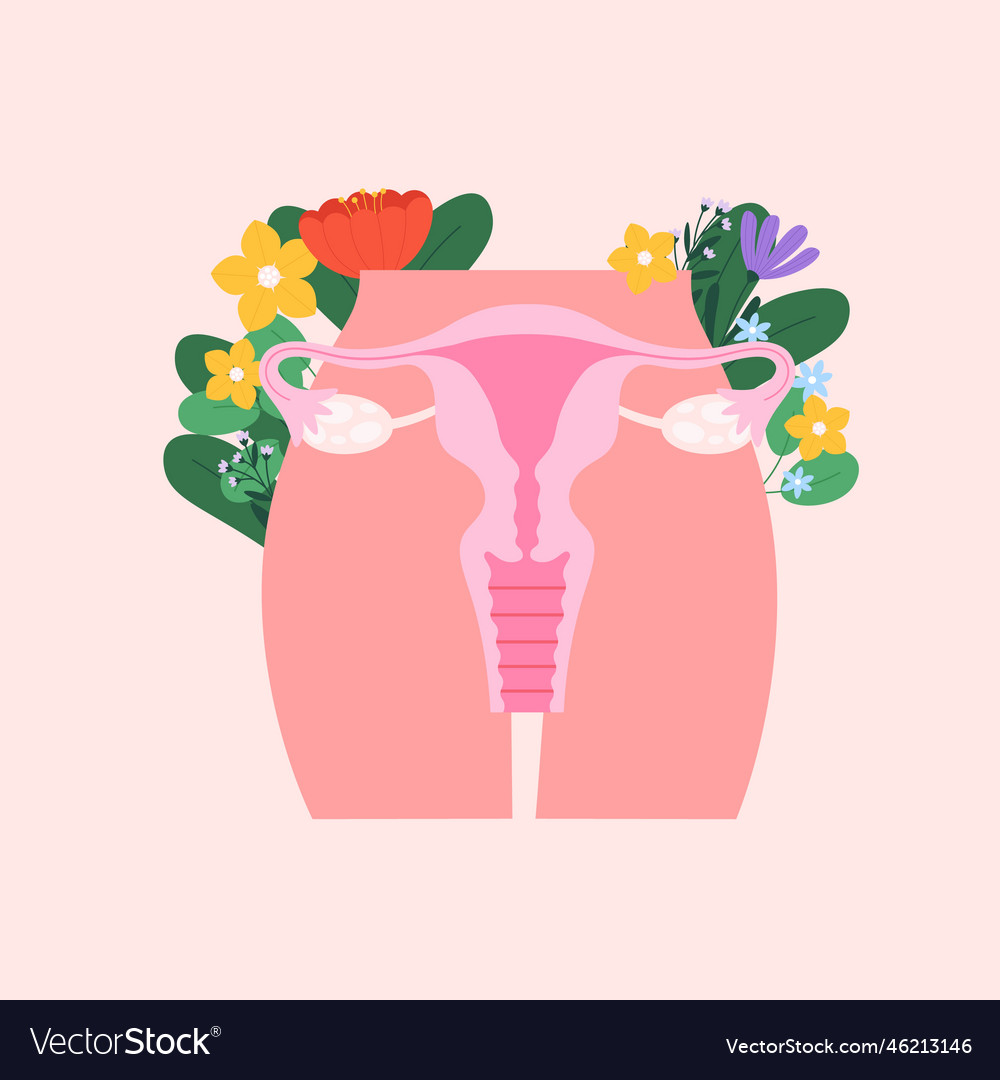 Female Reproductive System Poster Women Period Vector Image Female Reproductive System Poster Women Period Vector Image