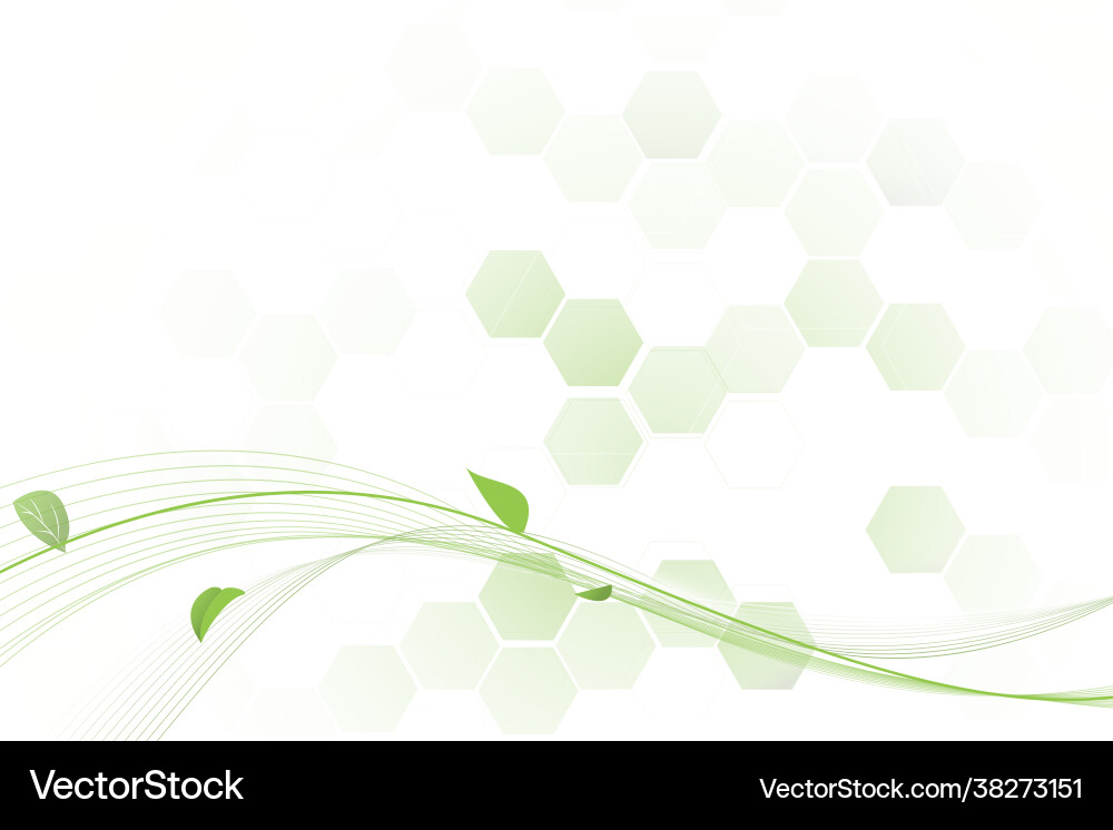 Abstract green lines floral with geometric Vector Image