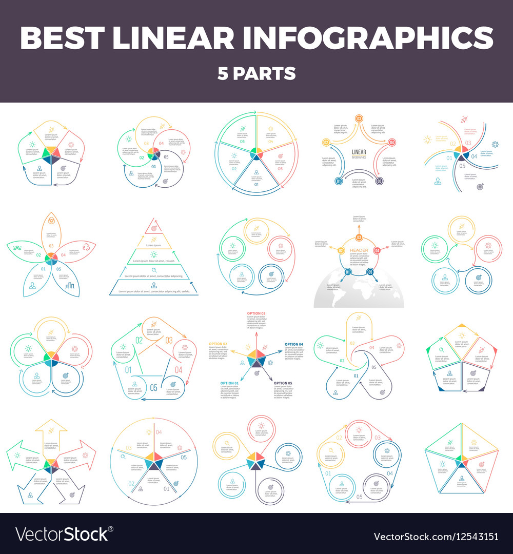 Business infographics linear infographic elements Vector Image