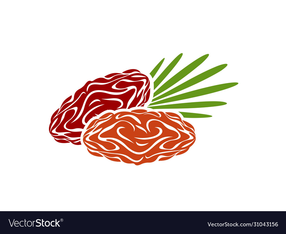 Date fruit Royalty Free Vector Image - VectorStock