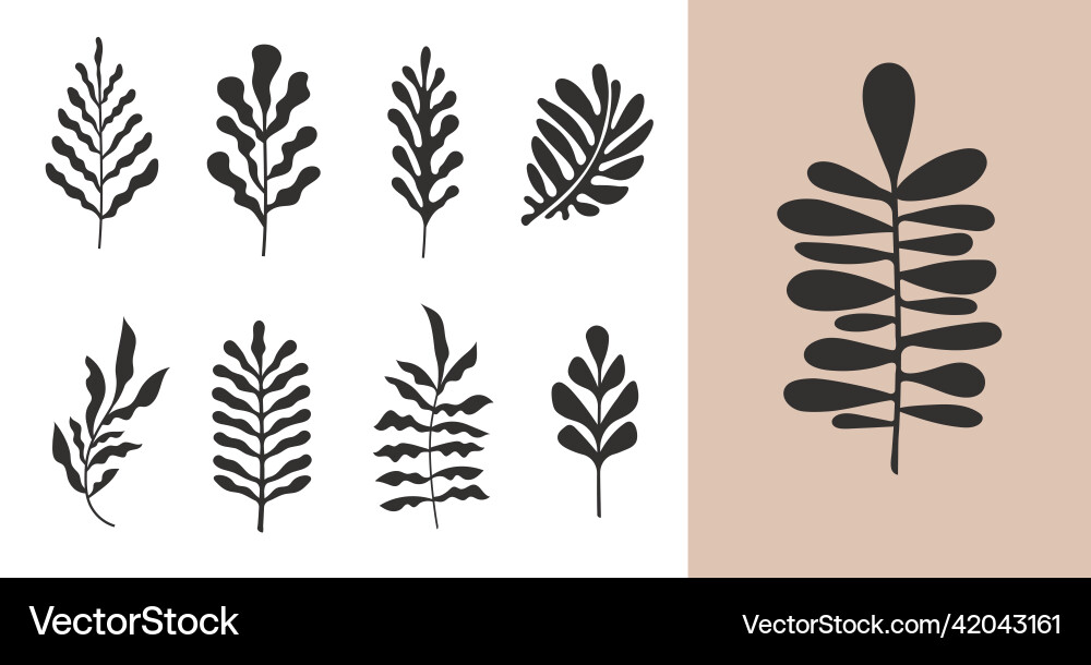 Abstract botanical wall art contemporary Vector Image
