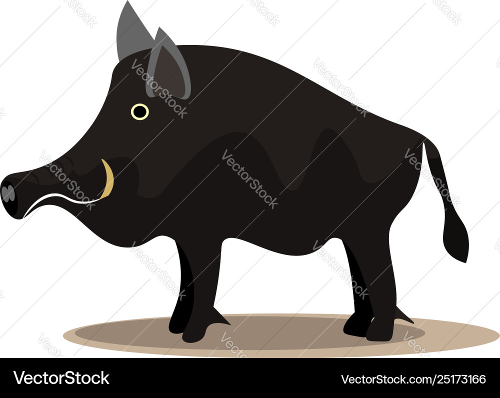A large black wild pig or color Royalty Free Vector Image