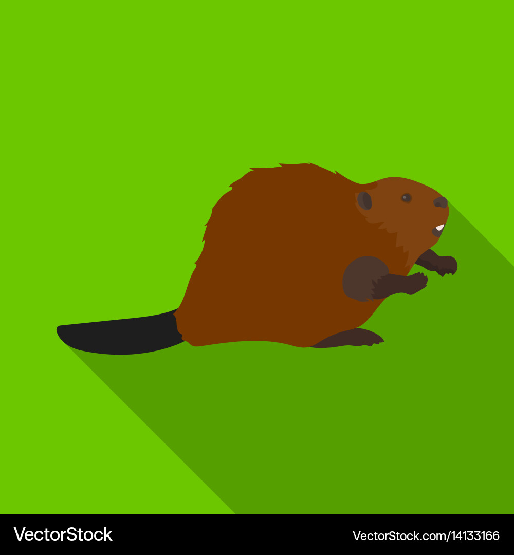 Canadian beaver canada single icon in flat style Vector Image
