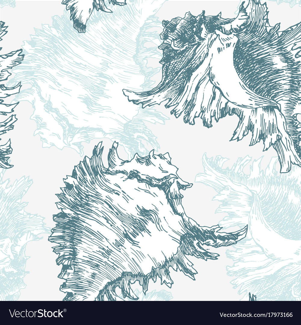 Sea shell pattern Royalty Free Vector Image - VectorStock