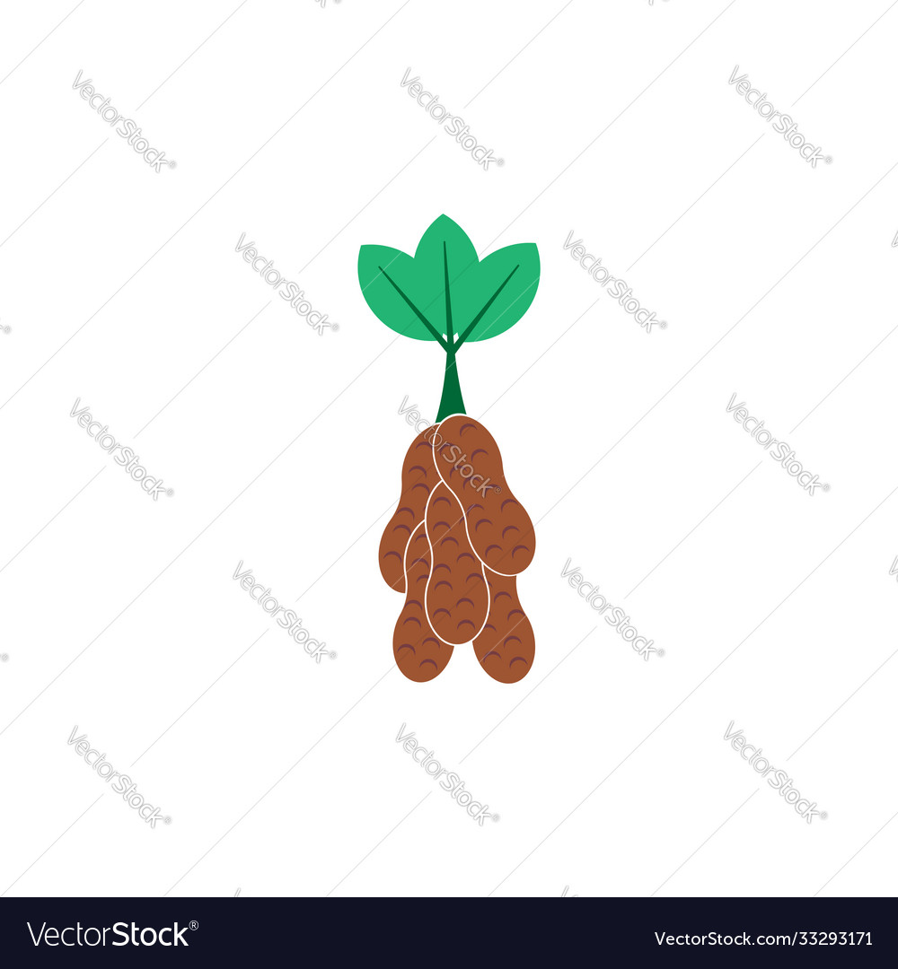 Peanuts design template Royalty Free Vector Image