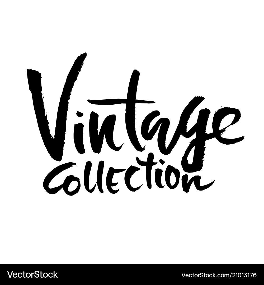 Vinage collection ink handwritten lettering Vector Image