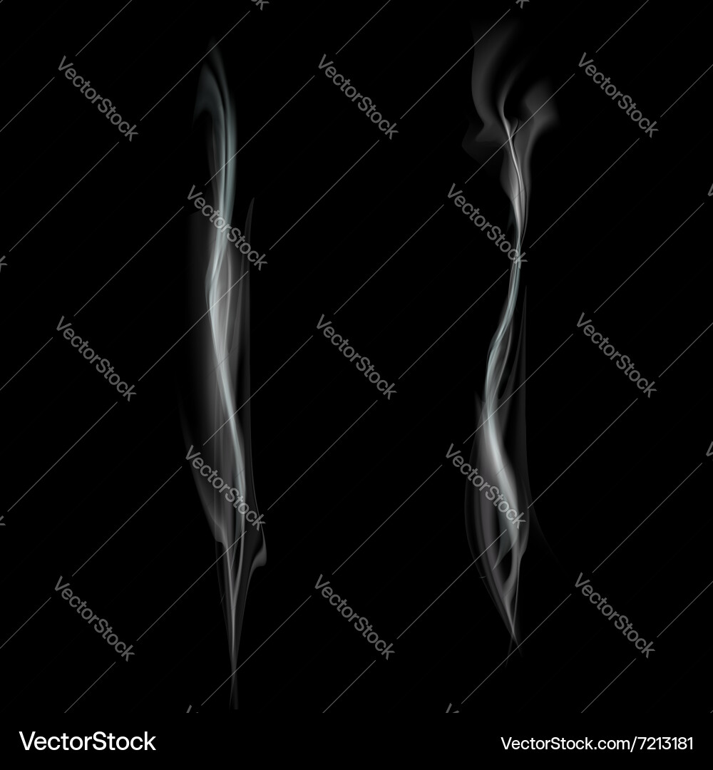 Gray smoke isolated on black background Royalty Free Vector