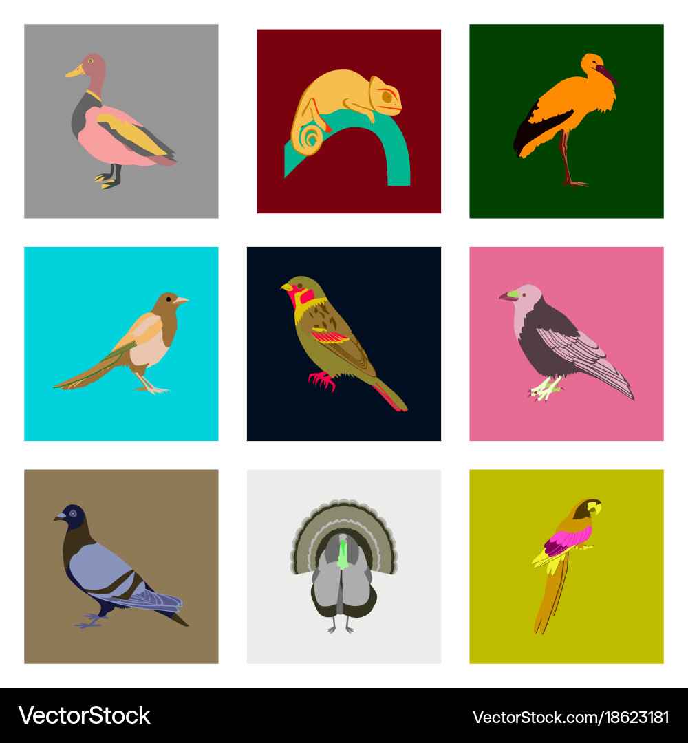 Set of in flat style birds Royalty Free Vector Image