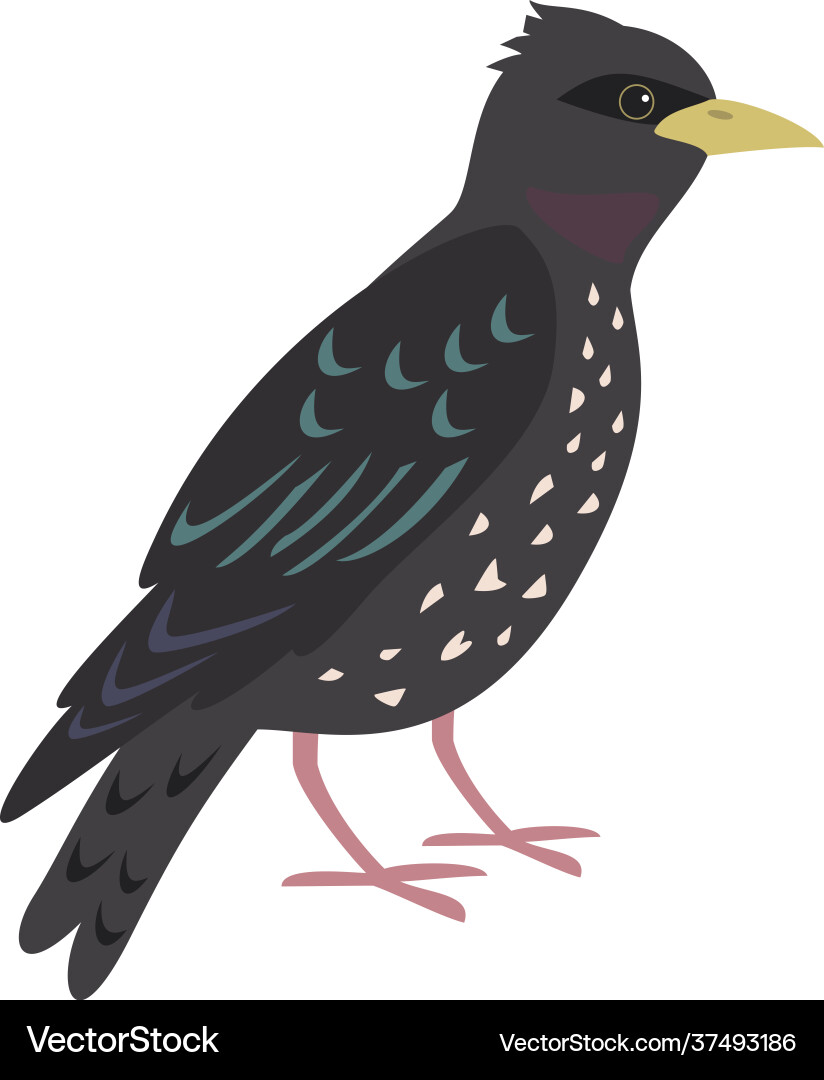 Cartoon starling icon on white background Vector Image