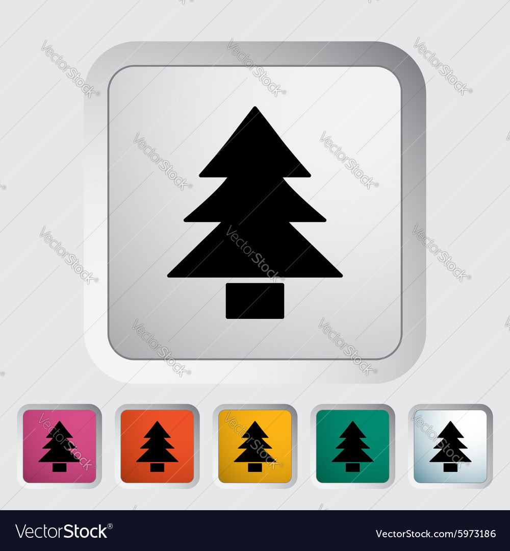 Conifer Royalty Free Vector Image - VectorStock