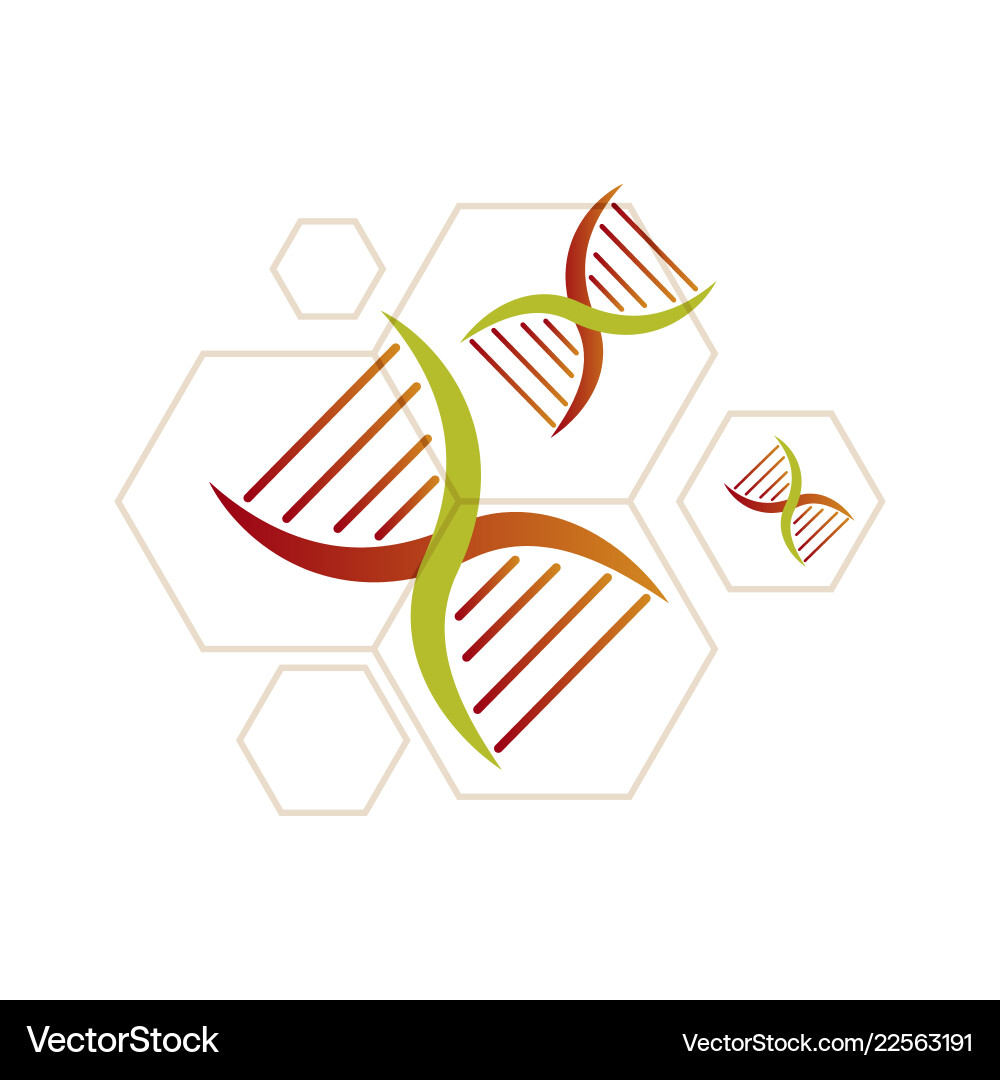 Dna genetic sign elements and icons collection Vector Image