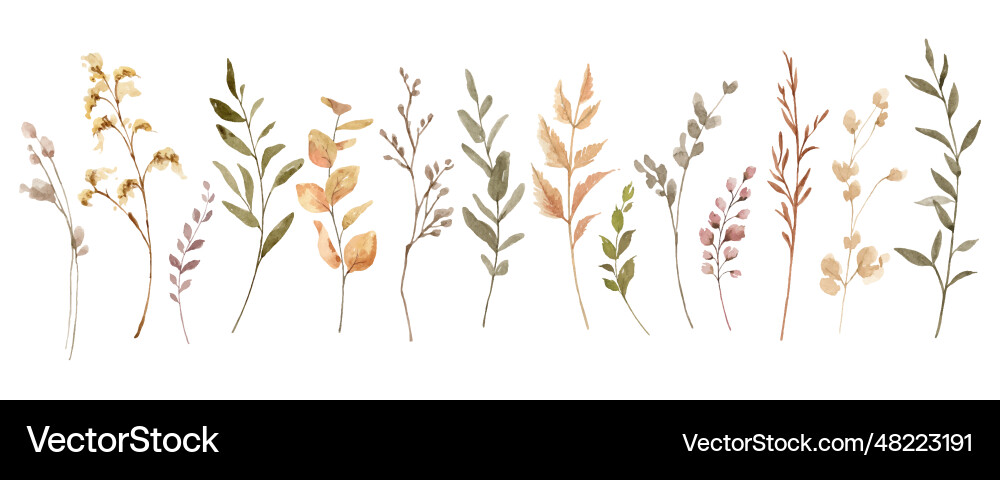 Watercolor set of fall branches isolated Vector Image