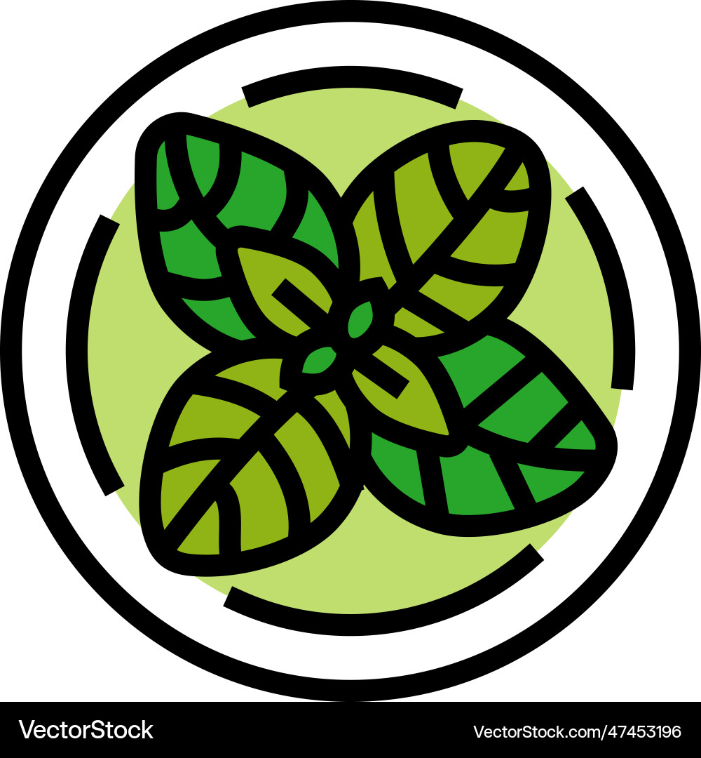 Basil cosmetic plant color icon Royalty Free Vector Image