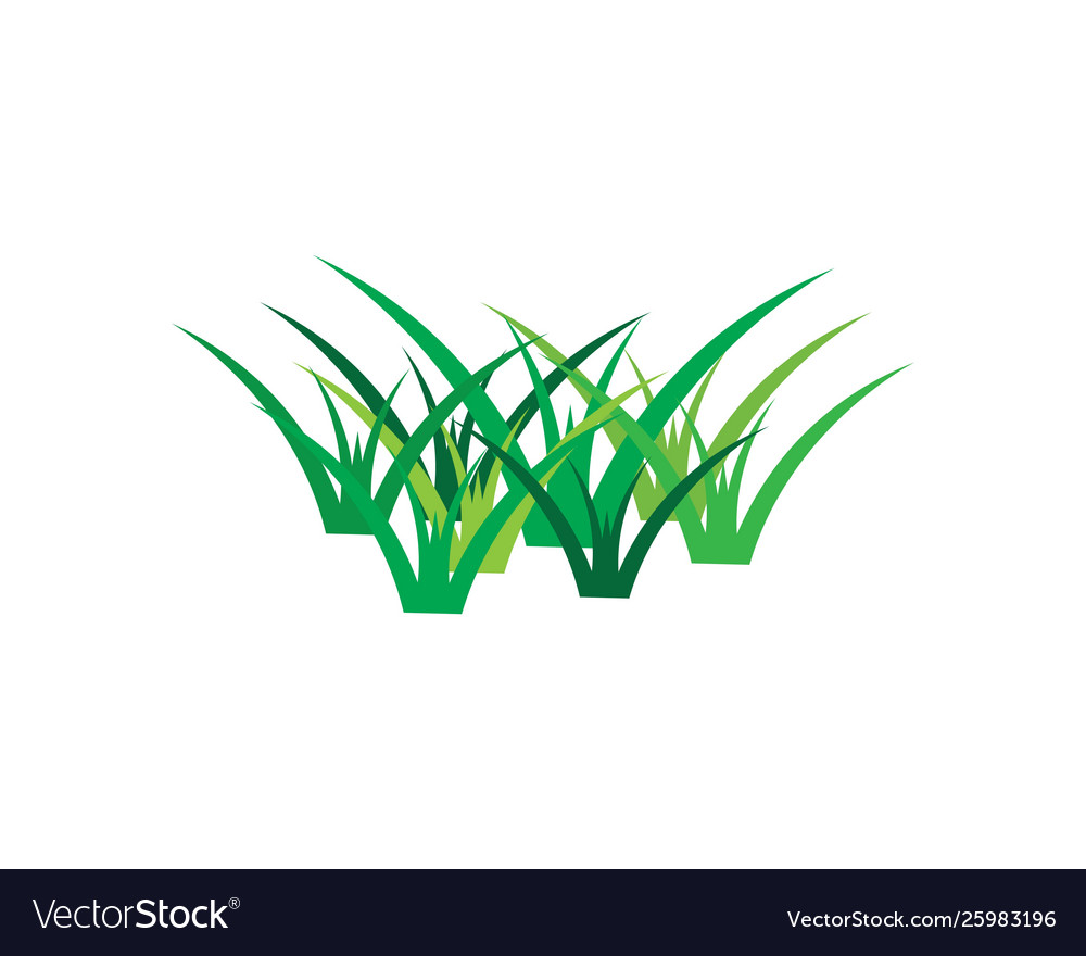 Grass template Royalty Free Vector Image - VectorStock