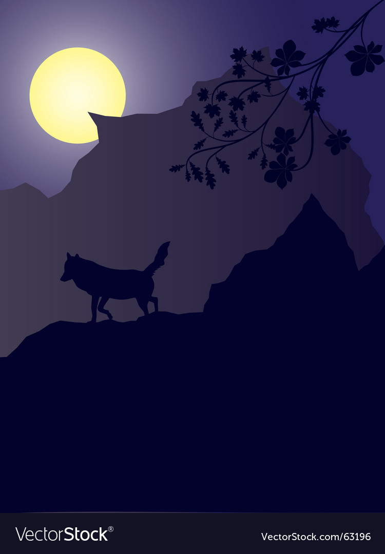 Night background Royalty Free Vector Image - VectorStock