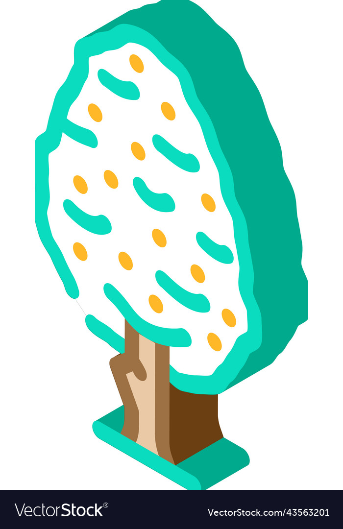 Pear tree isometric icon Royalty Free Vector Image