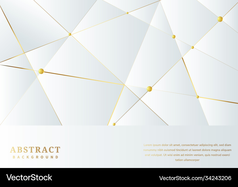 Abstract white luxury premium background Vector Image