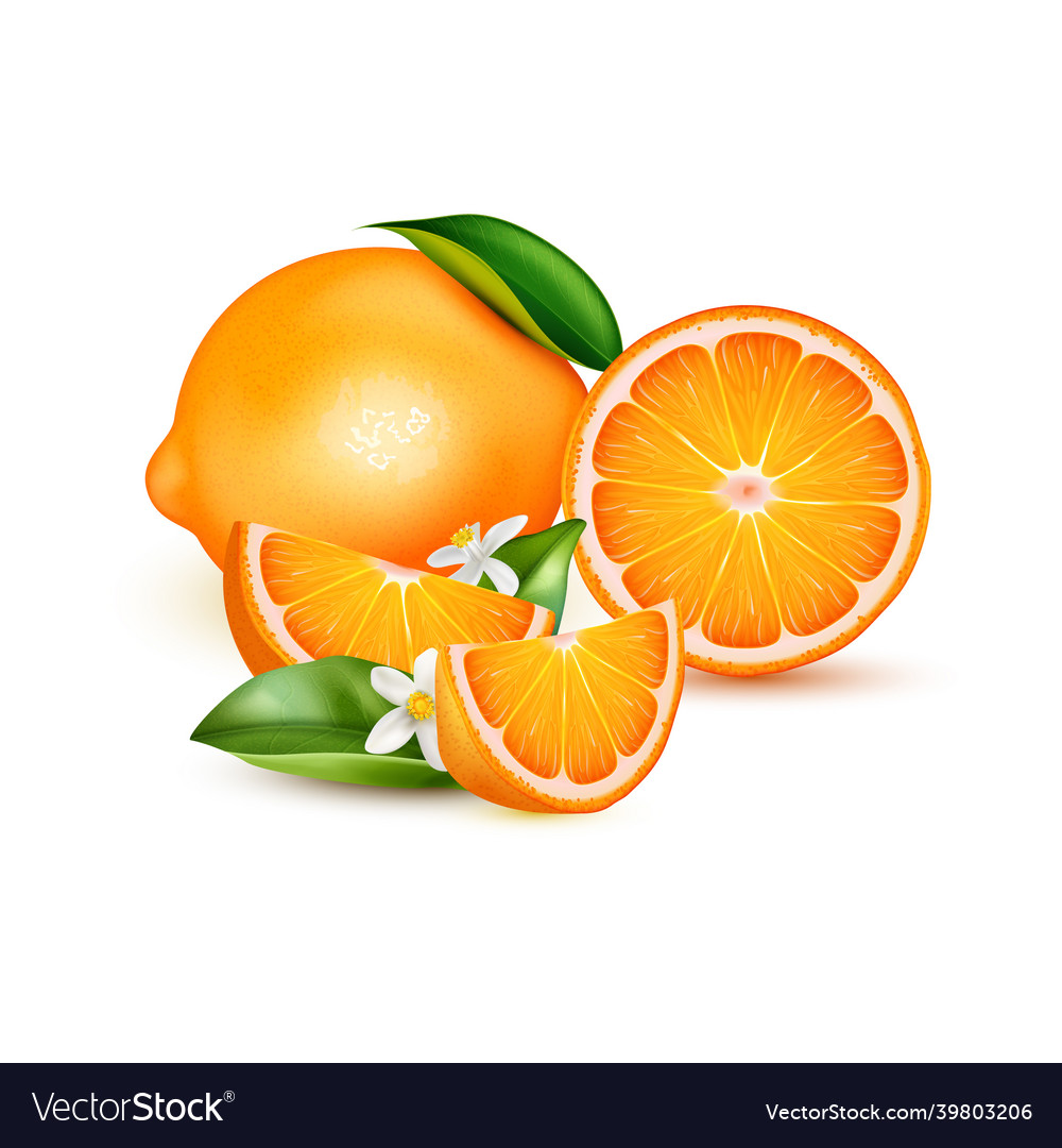 Oranges realistic composition Royalty Free Vector Image