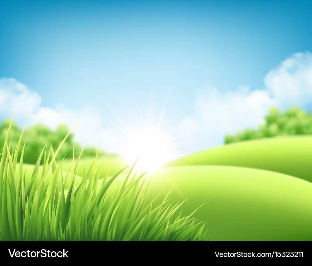 Summer nature sunrise background a landscape with Vector Image