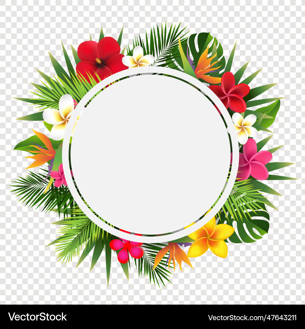 Summer tropical banner isolated transparent Vector Image