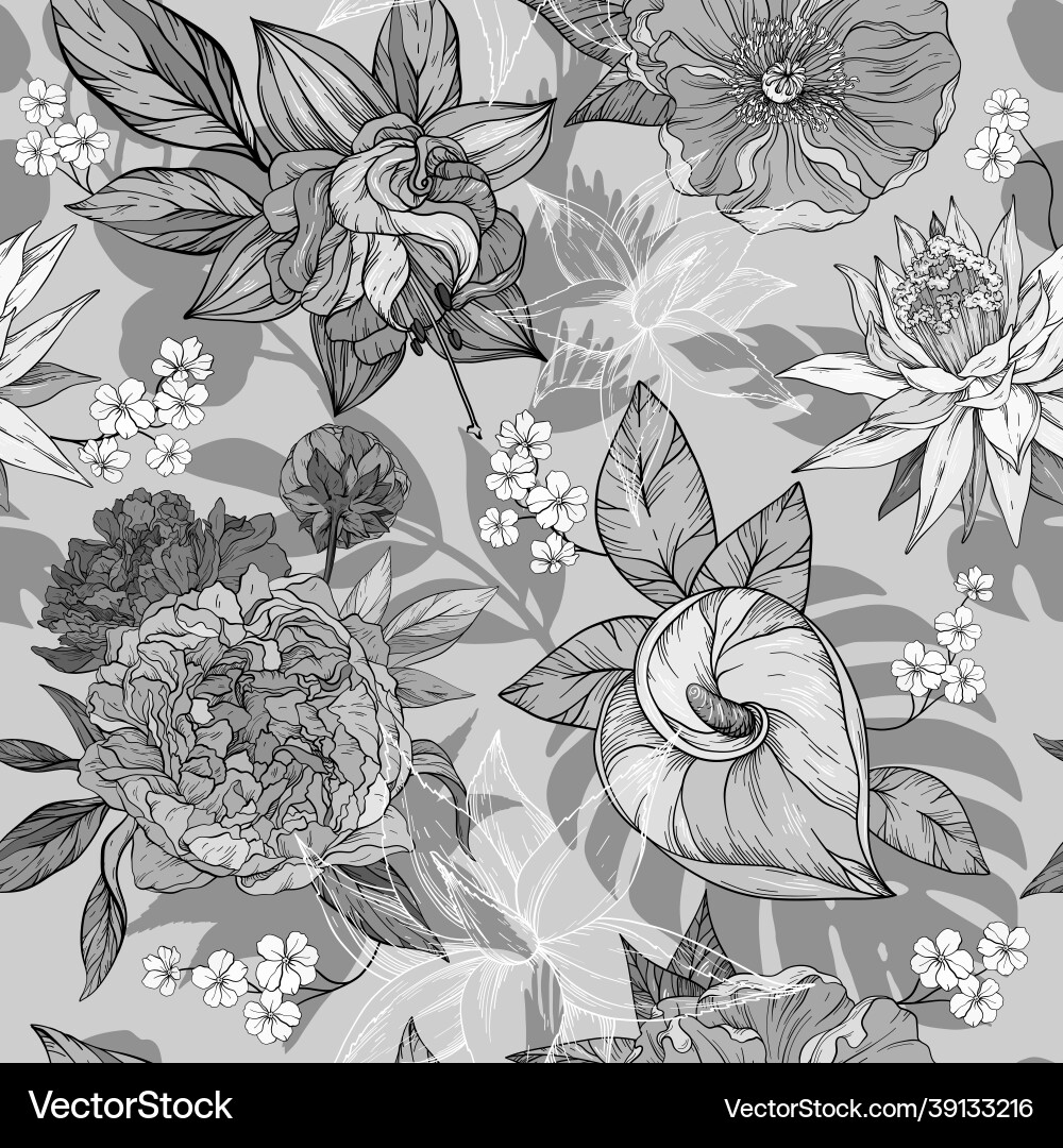 Monochrome black and white hand draw seamless Vector Image