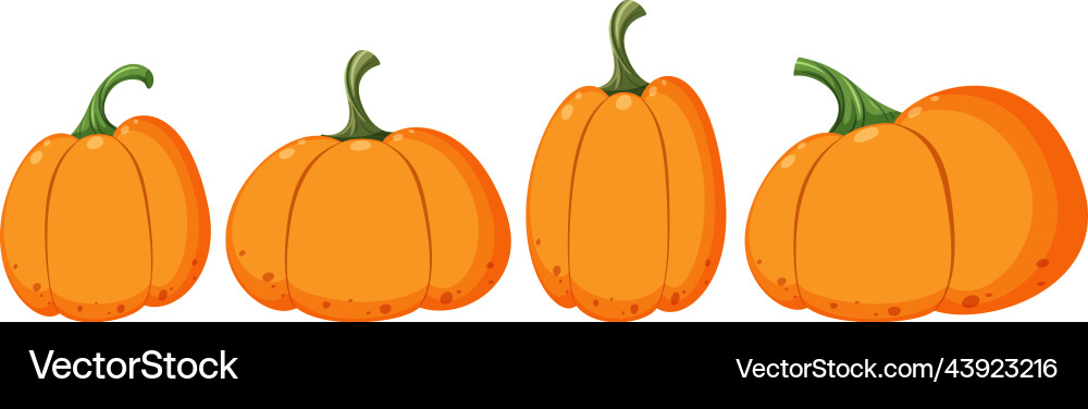 Set of different pumpkin shapes Royalty Free Vector Image