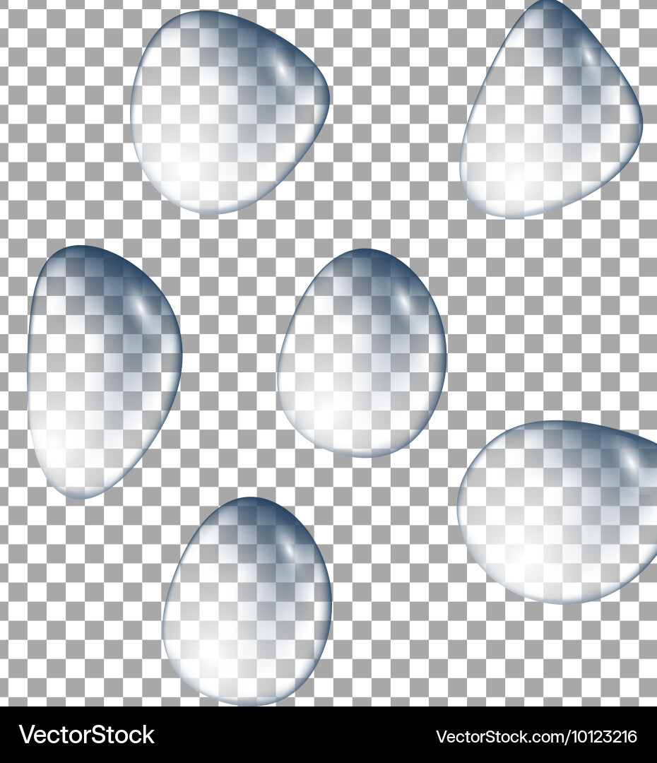 Set of transparent water drop Royalty Free Vector Image